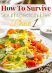 How To Survive The South Beach Diet Phase 1 - Surviving The Stores™